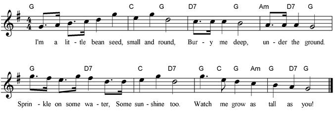 I'm a little bean seed, small and round,